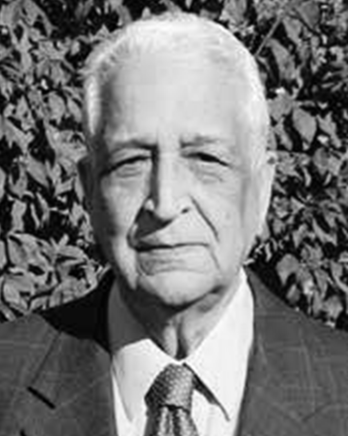 Honorees – AAPIQLI